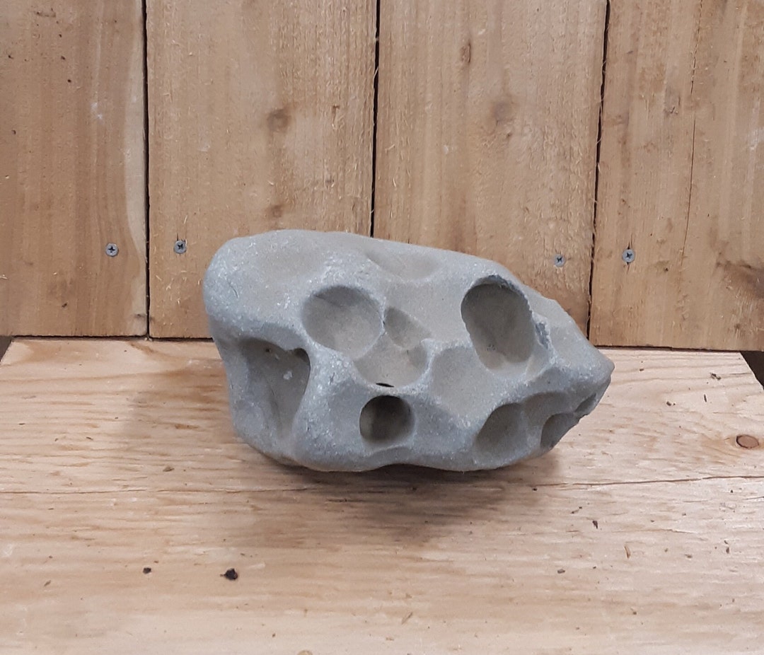Rock With Holes! Gorgeous Beach Tone - Etsy