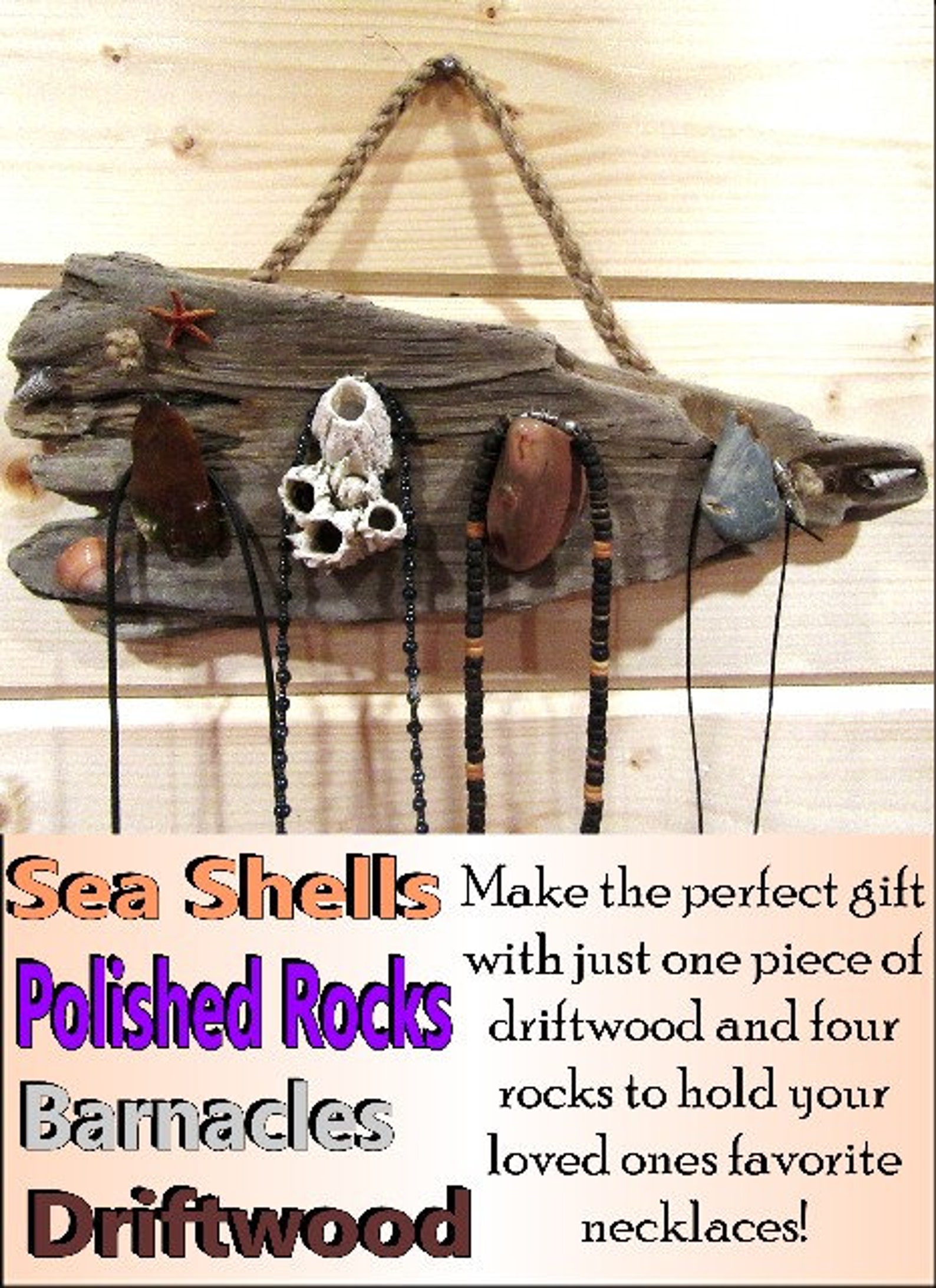 10 Small Single Barnacles 10 in a Lot, These Are All One-of-a-kind ...