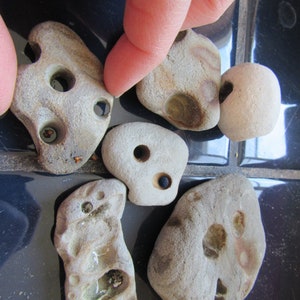 Holey Rocks, 10 Rocks 3 Inches and Under Beach Rocks With Holes, Holy ...