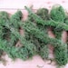 Moss Branches 5 Pieces Live Moss Sticks Live Moss Twigs Moss Covered ...