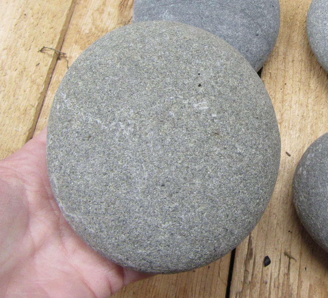 4 Flat Round Rocks 4 to 6 Inches. Lot of 4 Rocks, Beach Rocks for ...