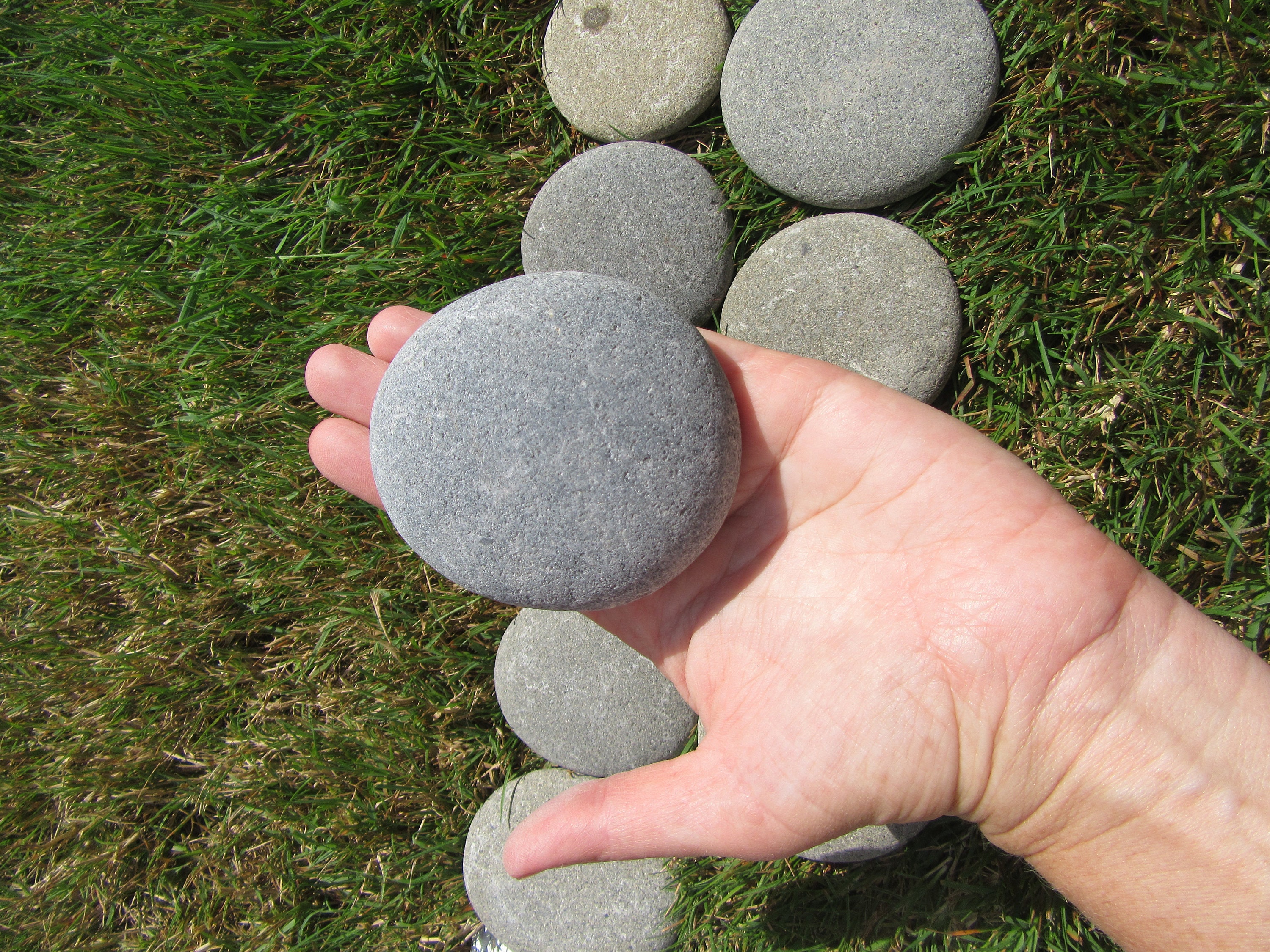 Flat Beach Rocks 10 Rocks. 3 to 4 Inches. 10 Rock Lot of Round and Oval ...