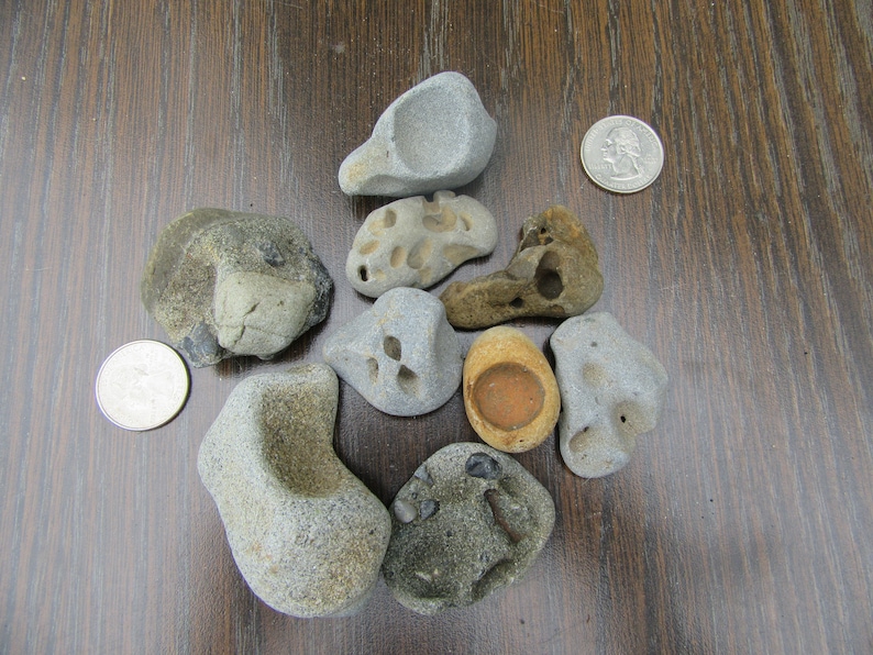 Holey Rocks 10 Rocks 3 Inches and Under Beach Rocks With - Etsy