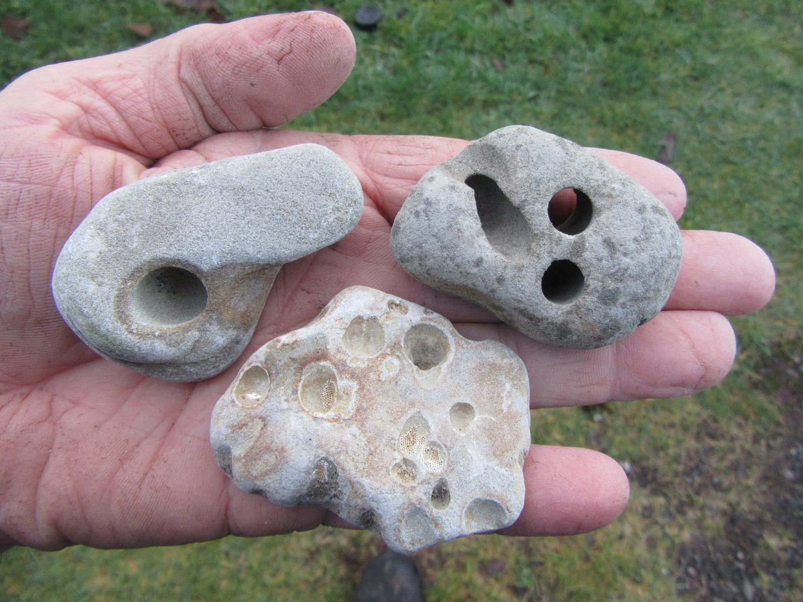 Holey Rocks 5 Rocks Beach Rocks With Holes 2 to 4 In. Holy - Etsy