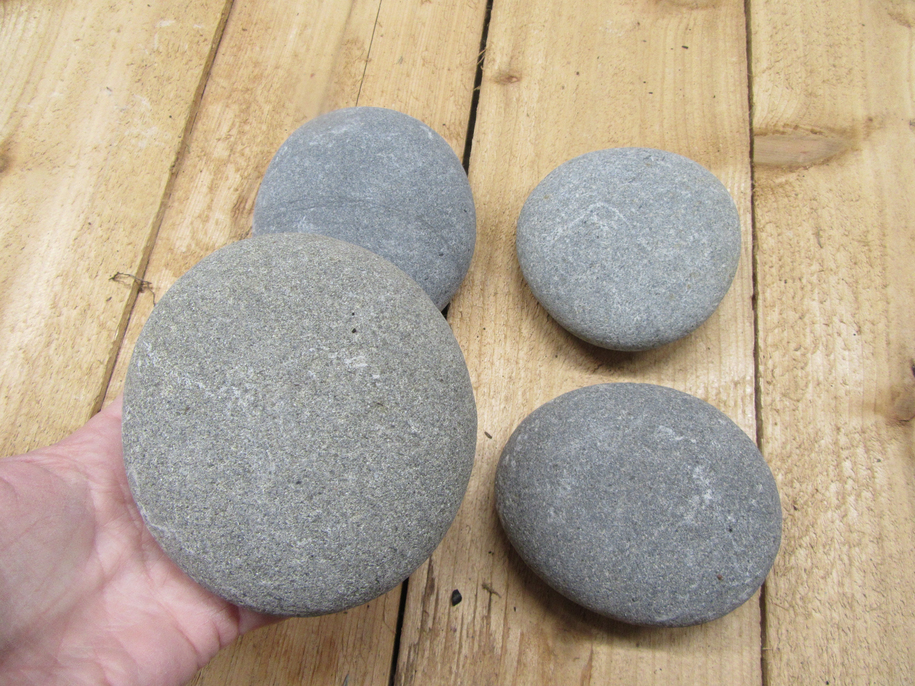 4 Flat Round Rocks 4 to 6 Inches. Lot of 4 Rocks, Beach Rocks for ...