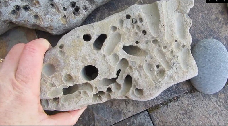 Holey Rock, 4 to 6 Inches 2 Pieces, Beach Rocks With Holes, Holy Rocks ...