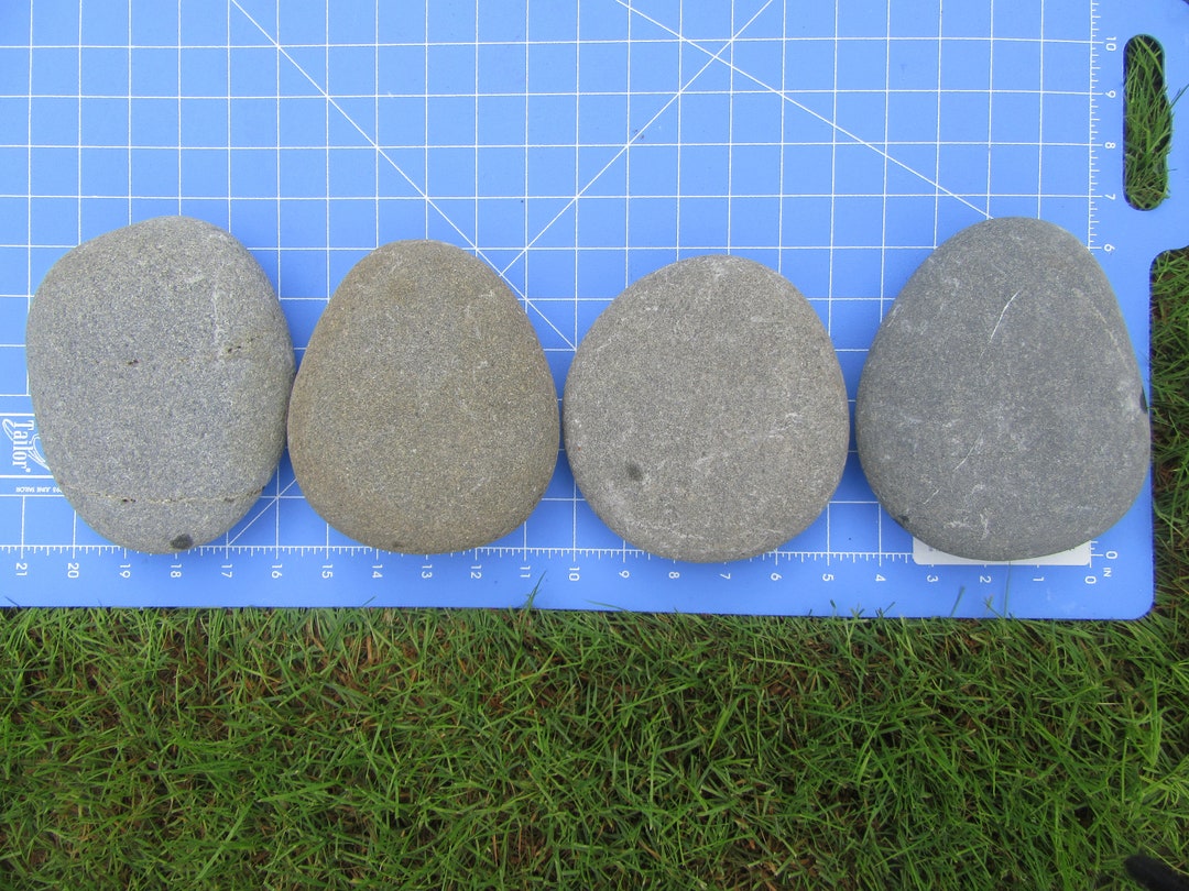 4 Assorted Shaped Beach Rocks 4-to-6-inch Beach Rocks for Painting ...