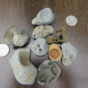 Holey Rocks, 5 Rocks Beach Rocks With Holes, 2 to 4 In. Holy Rocks ...