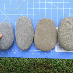 4 Oblong Rocks 4 to 6 Inch Beach Rocks for Painting. Large Flat Stones ...