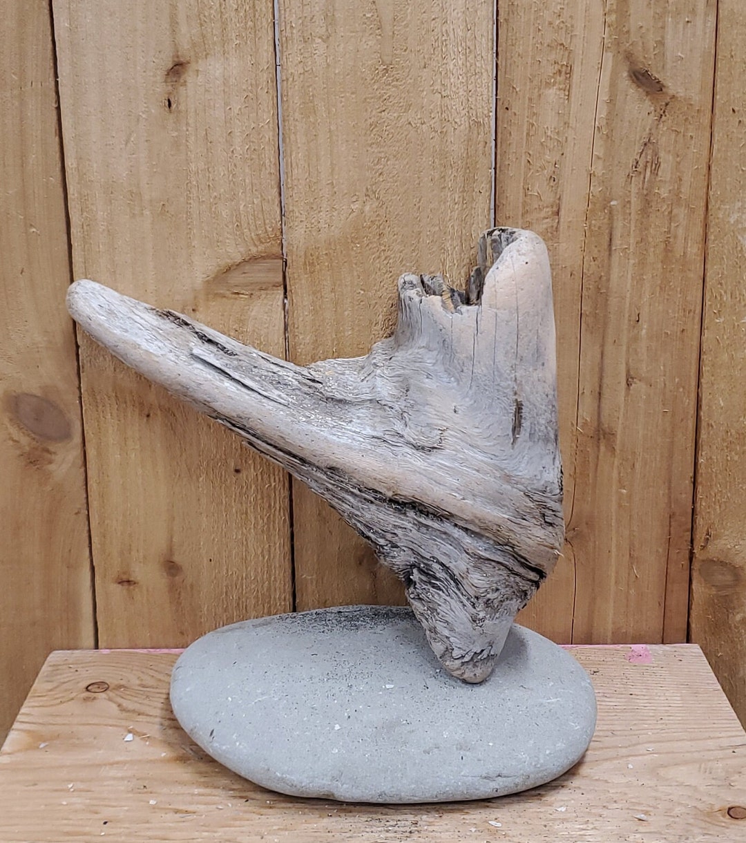 Beautiful Knot Pot Driftwood Piece! 15 INCH Piece Truly Unique - Etsy