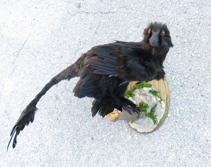 Microraptor Dinosaur Model - Etsy