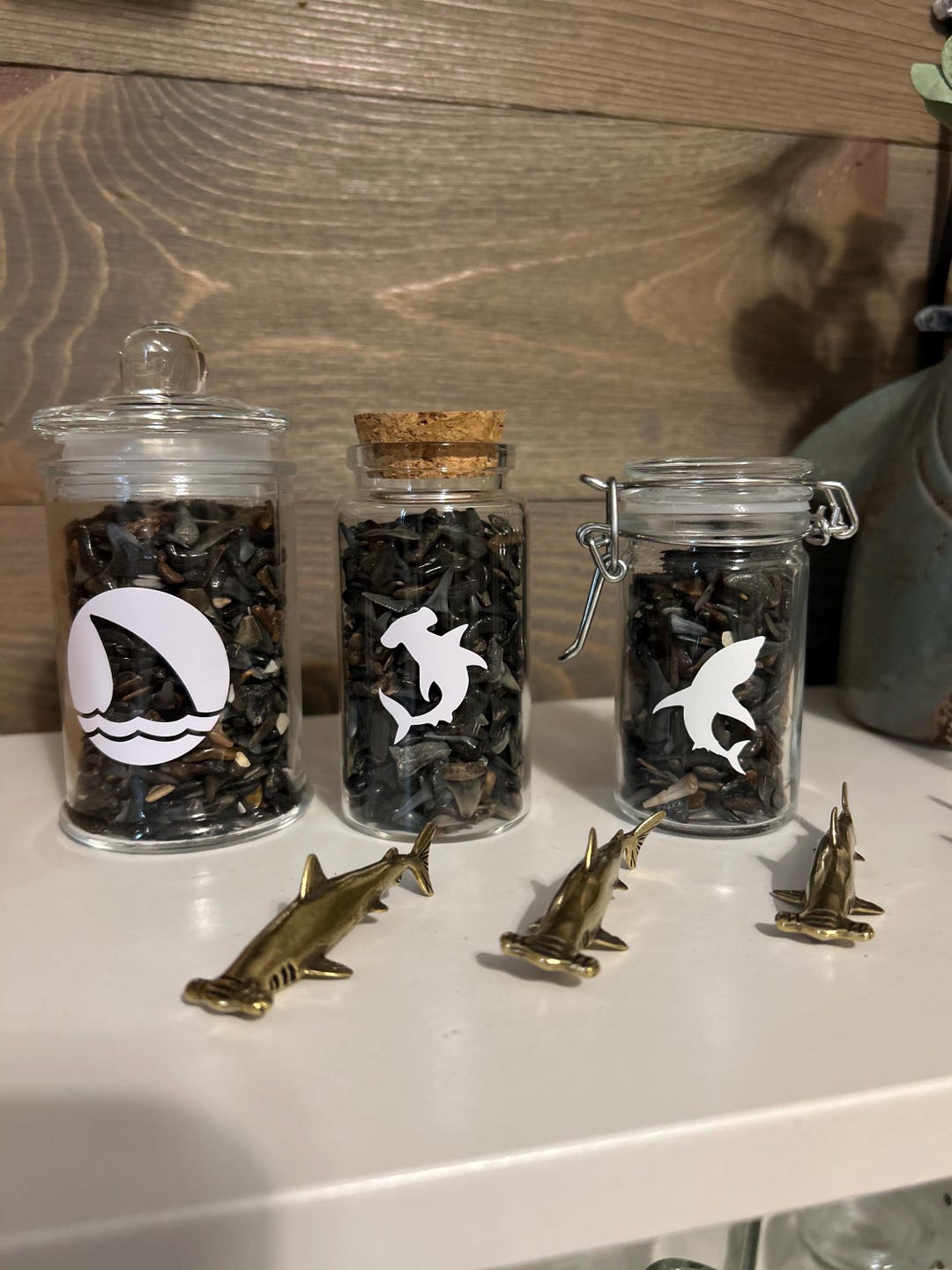 Mini Shark Tooth Jars - Etsy