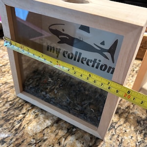 Shark Tooth Shadow Box - Etsy