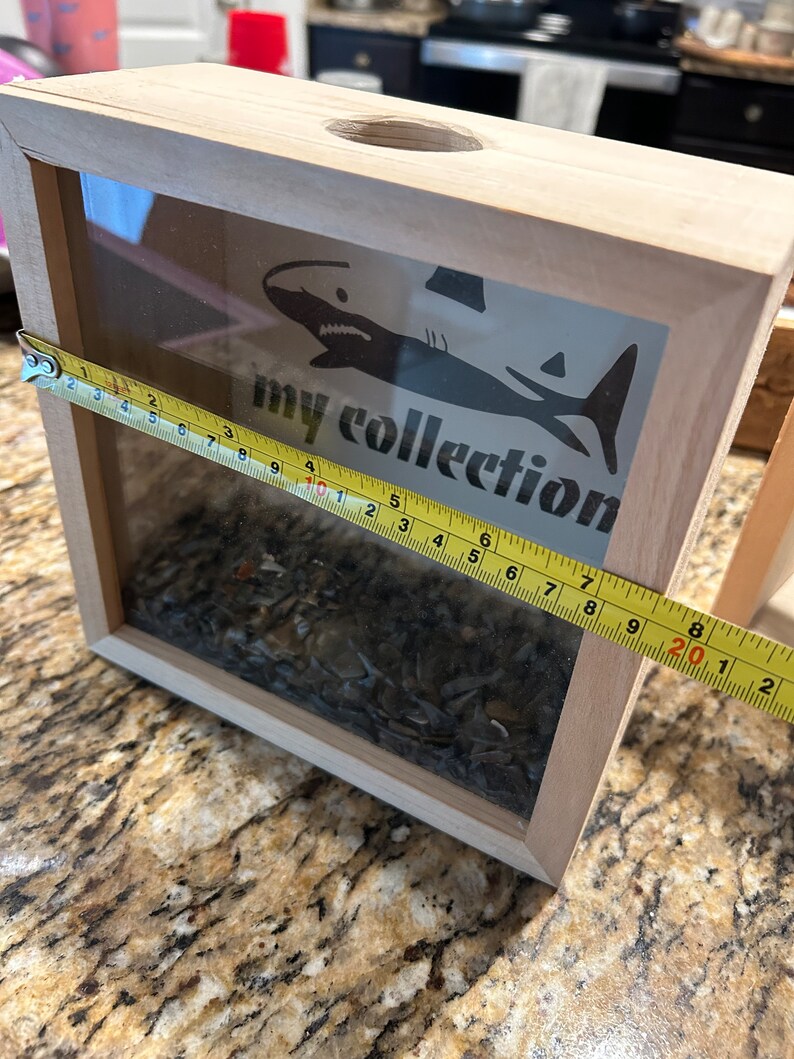 Shark Tooth Shadow Box - Etsy