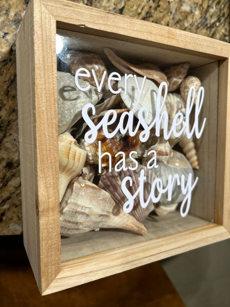 Shell Shadow Box - Etsy