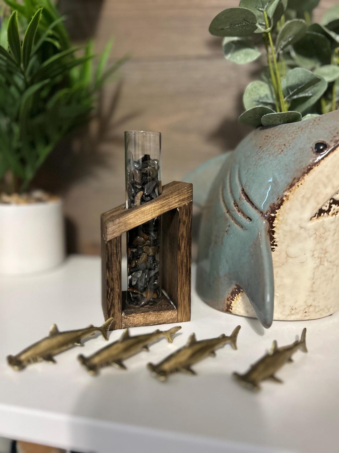 Shark Tooth Test Tube Jar Display - Etsy
