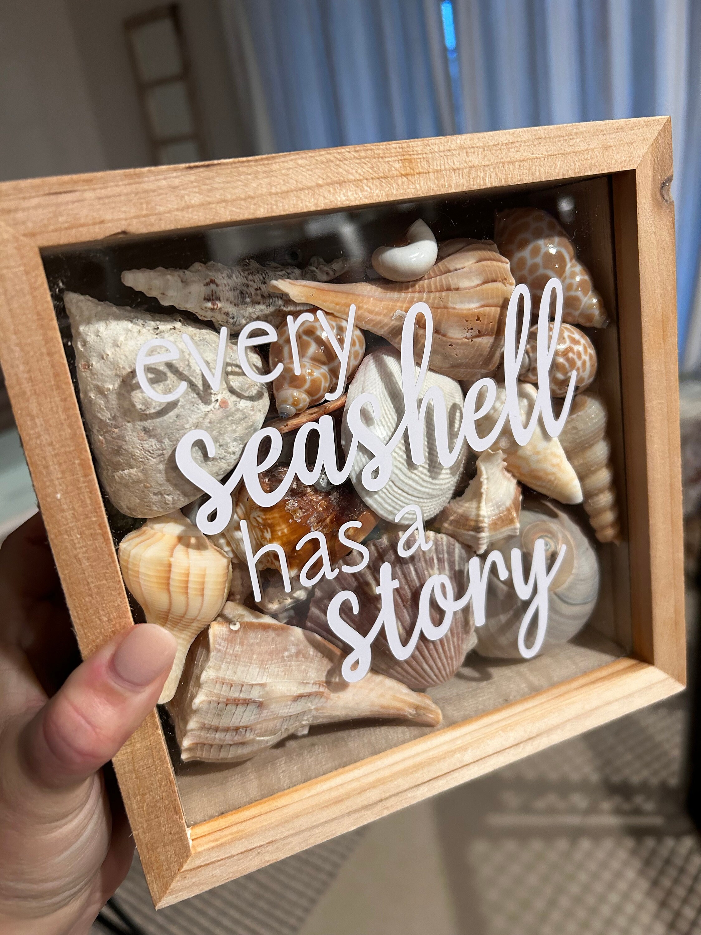 Shell Shadow Box - Etsy
