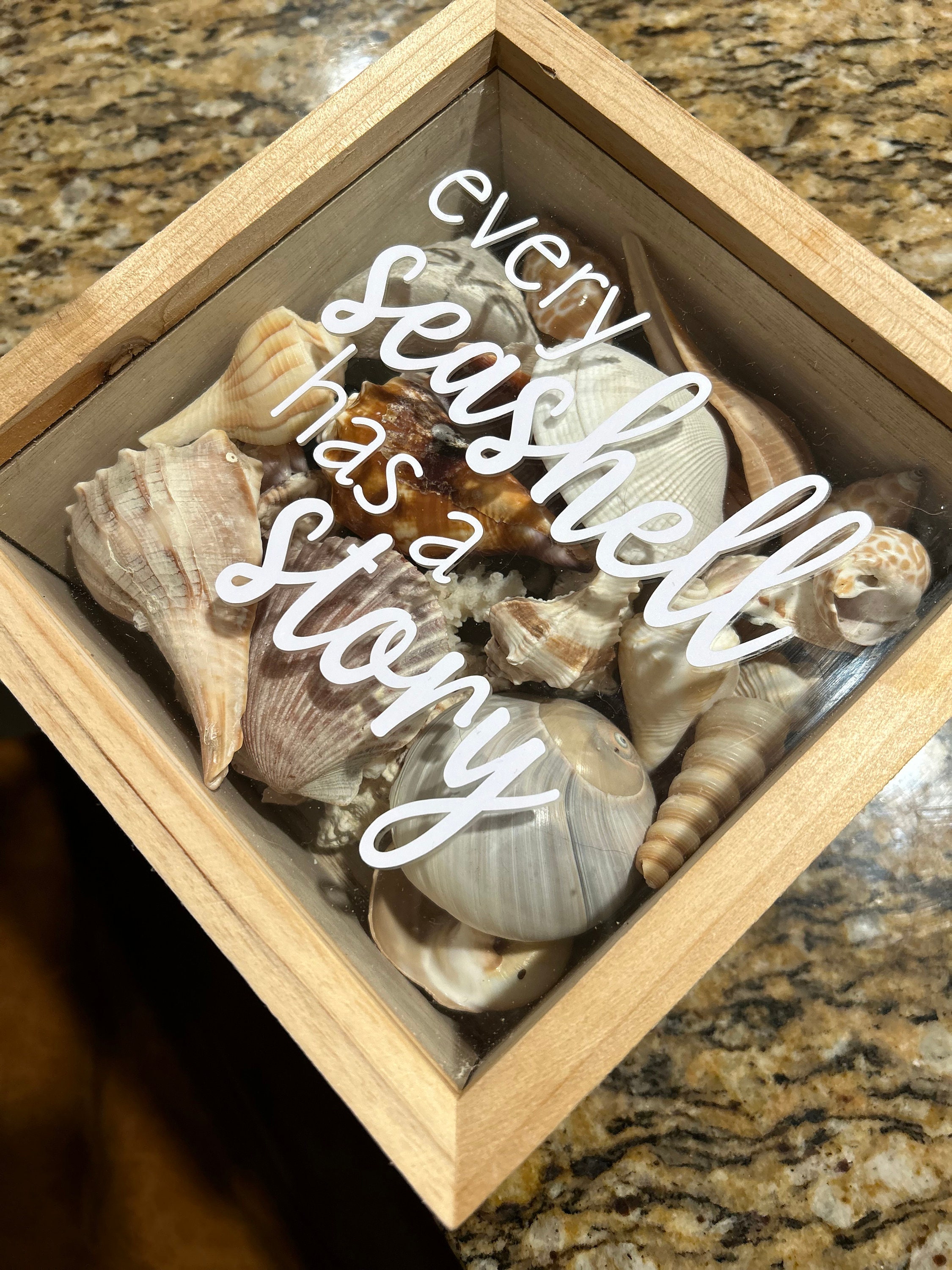 Shell Shadow Box - Etsy