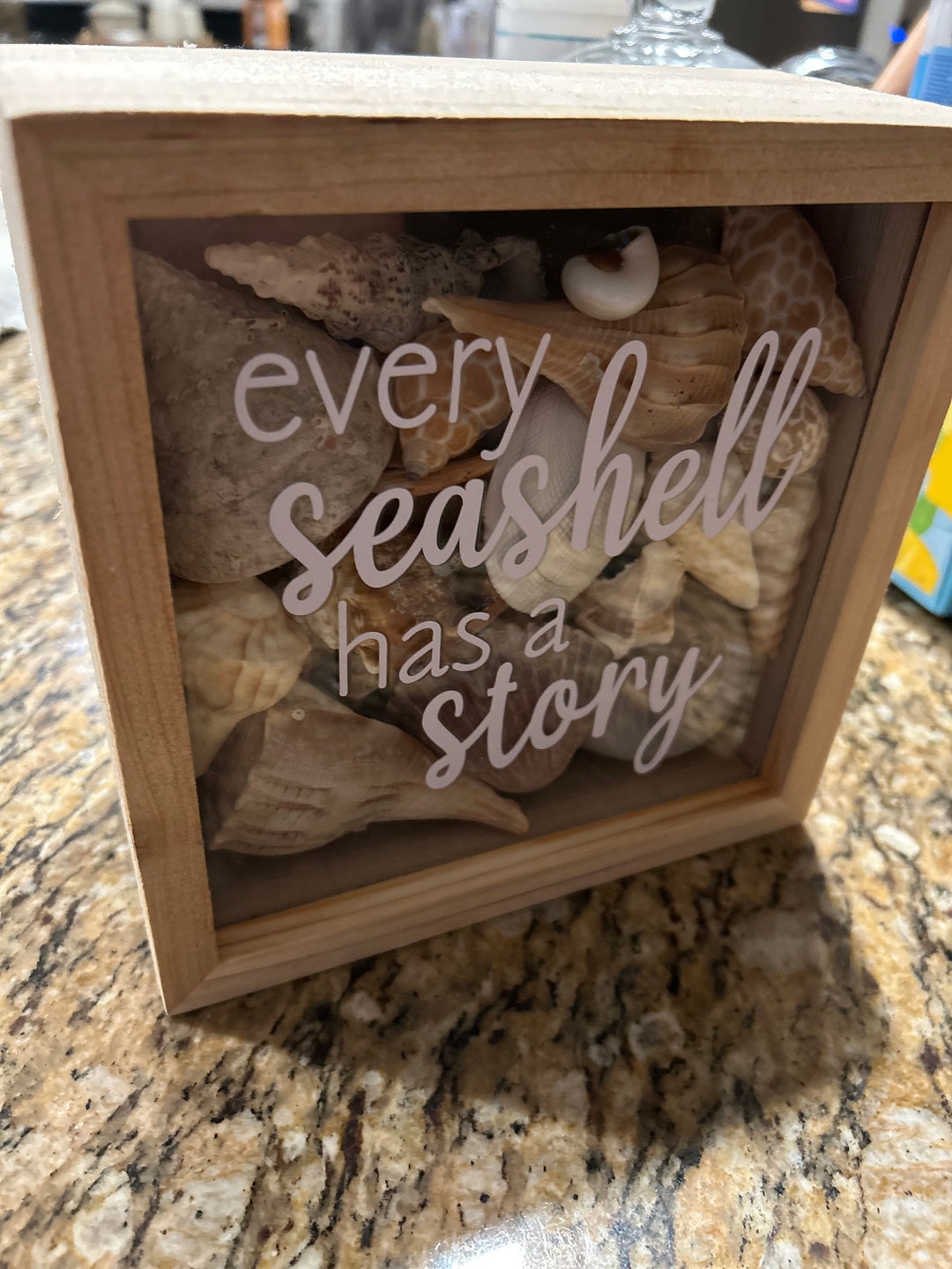 Shell Shadow Box - Etsy