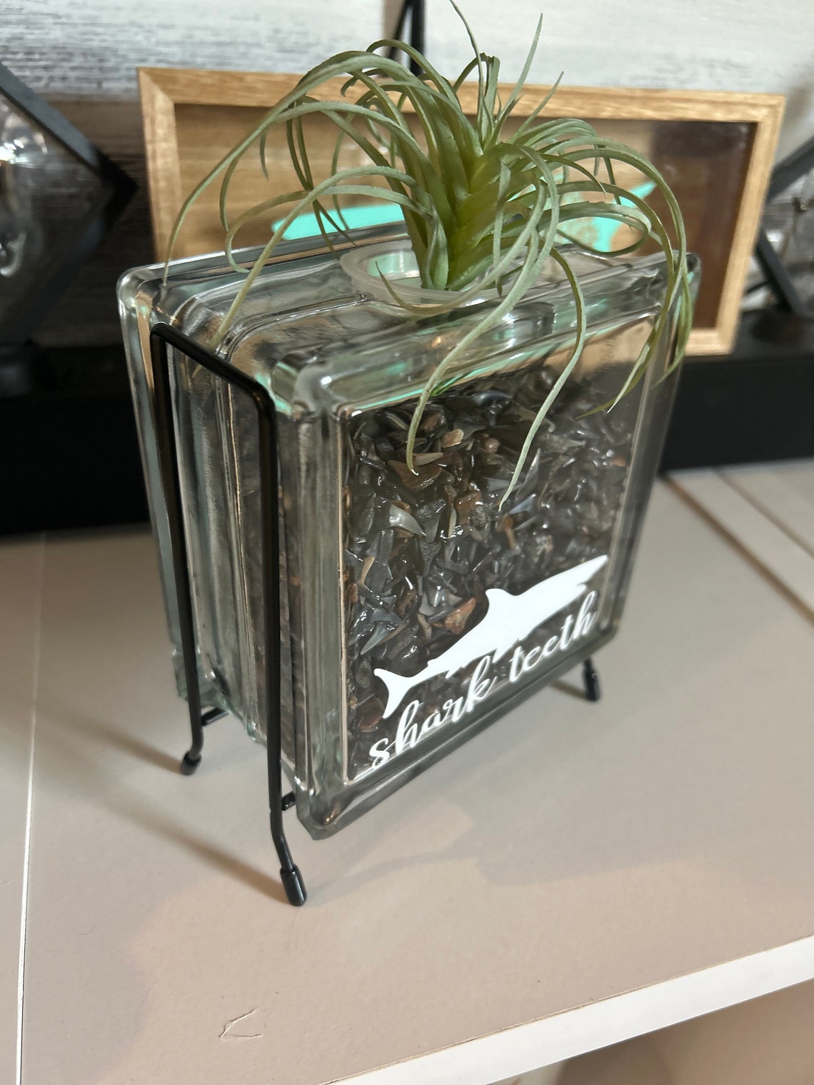 Glass Shark Tooth Shadow Display Box - Etsy