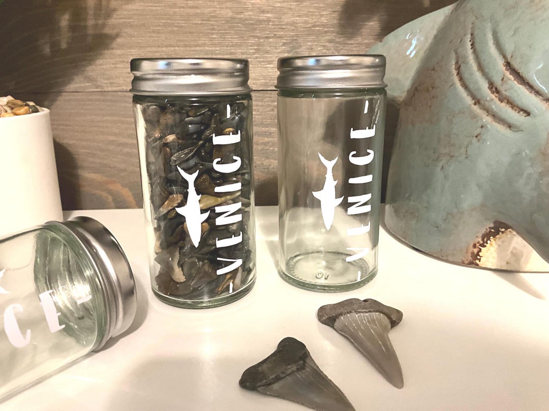 Venice Mini Shark Tooth Jar - Etsy