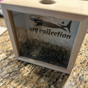 Shark Tooth Shadow Box - Etsy