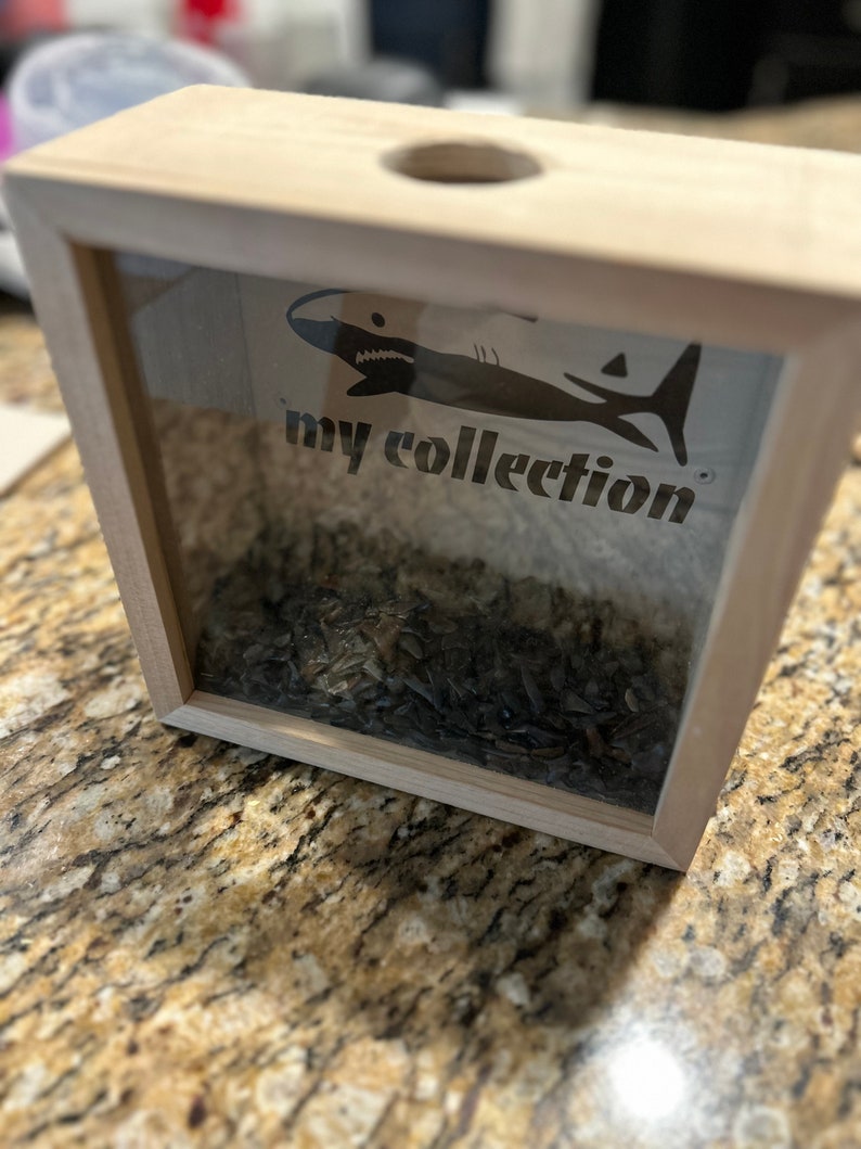 Shark Tooth Shadow Box - Etsy