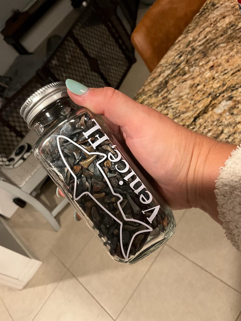 Midi Shark Tooth Jars - Etsy