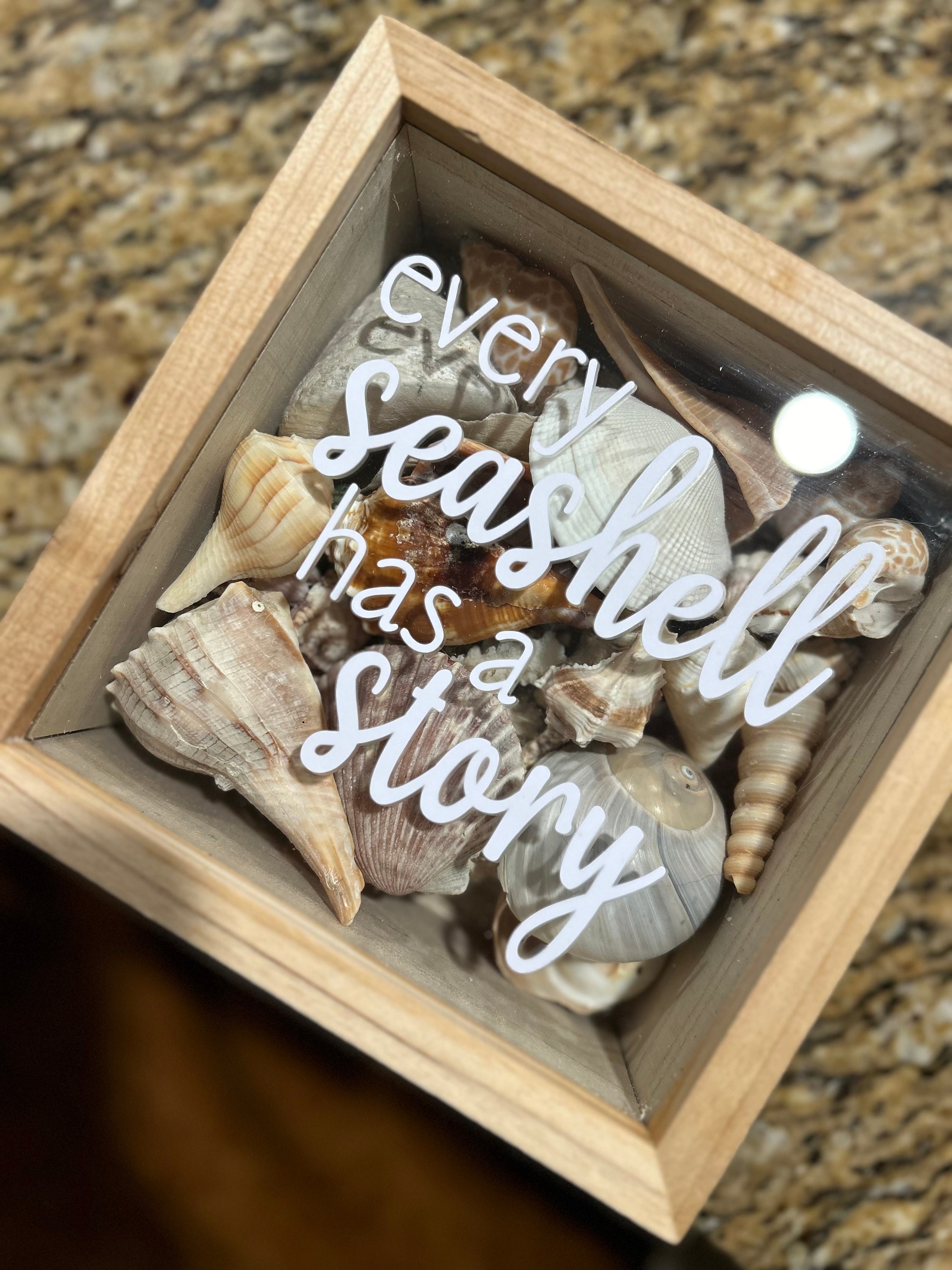 Shell Shadow Box - Etsy