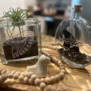 Shark Teeth Jar - Etsy