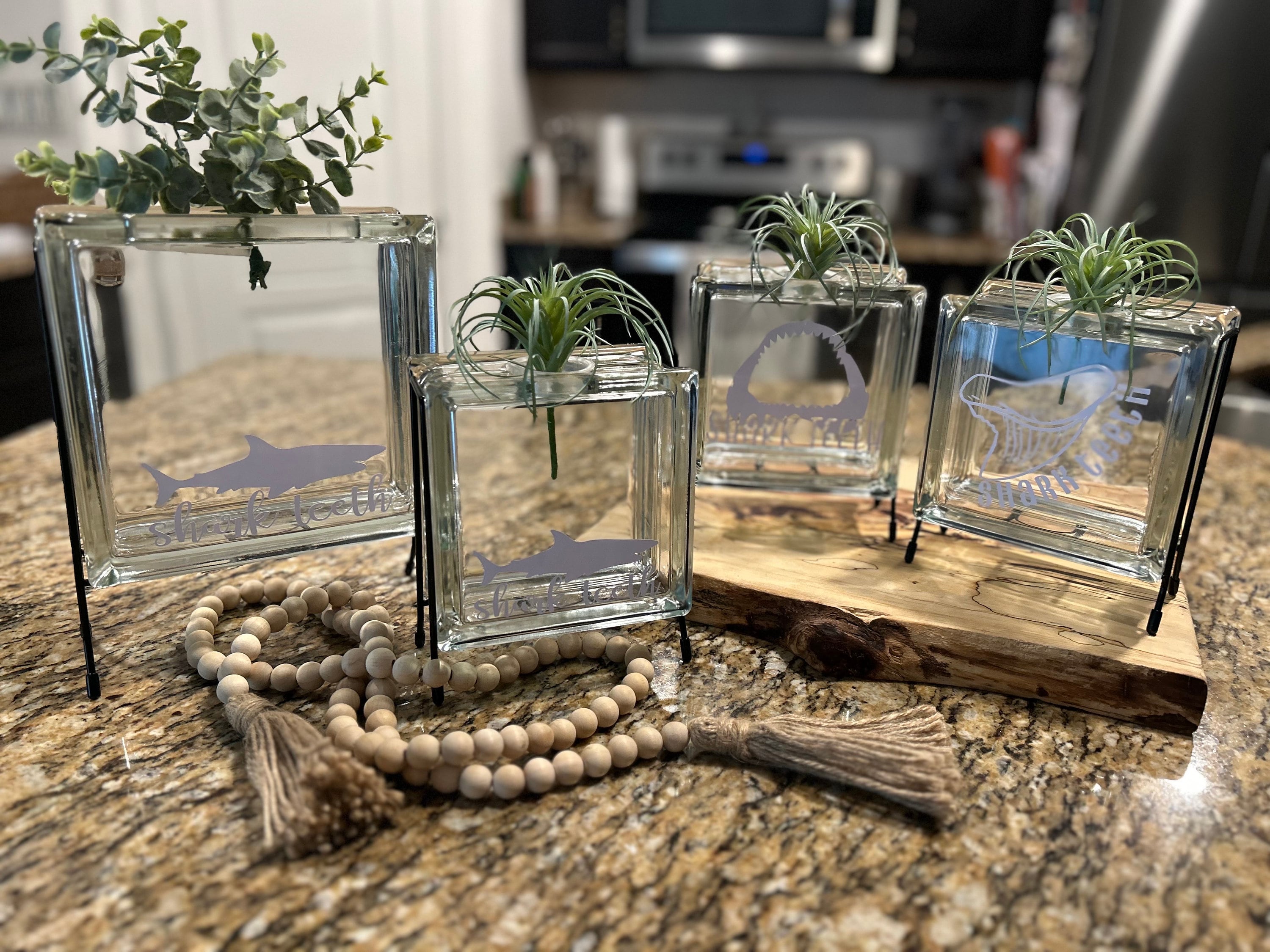 Glass Shark Tooth Shadow Display Box - Etsy