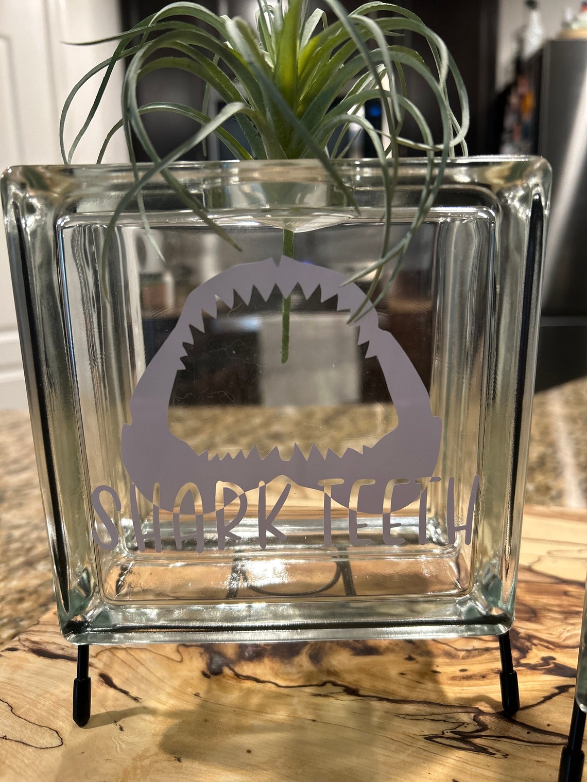Glass Shark Tooth Shadow Display Box - Etsy