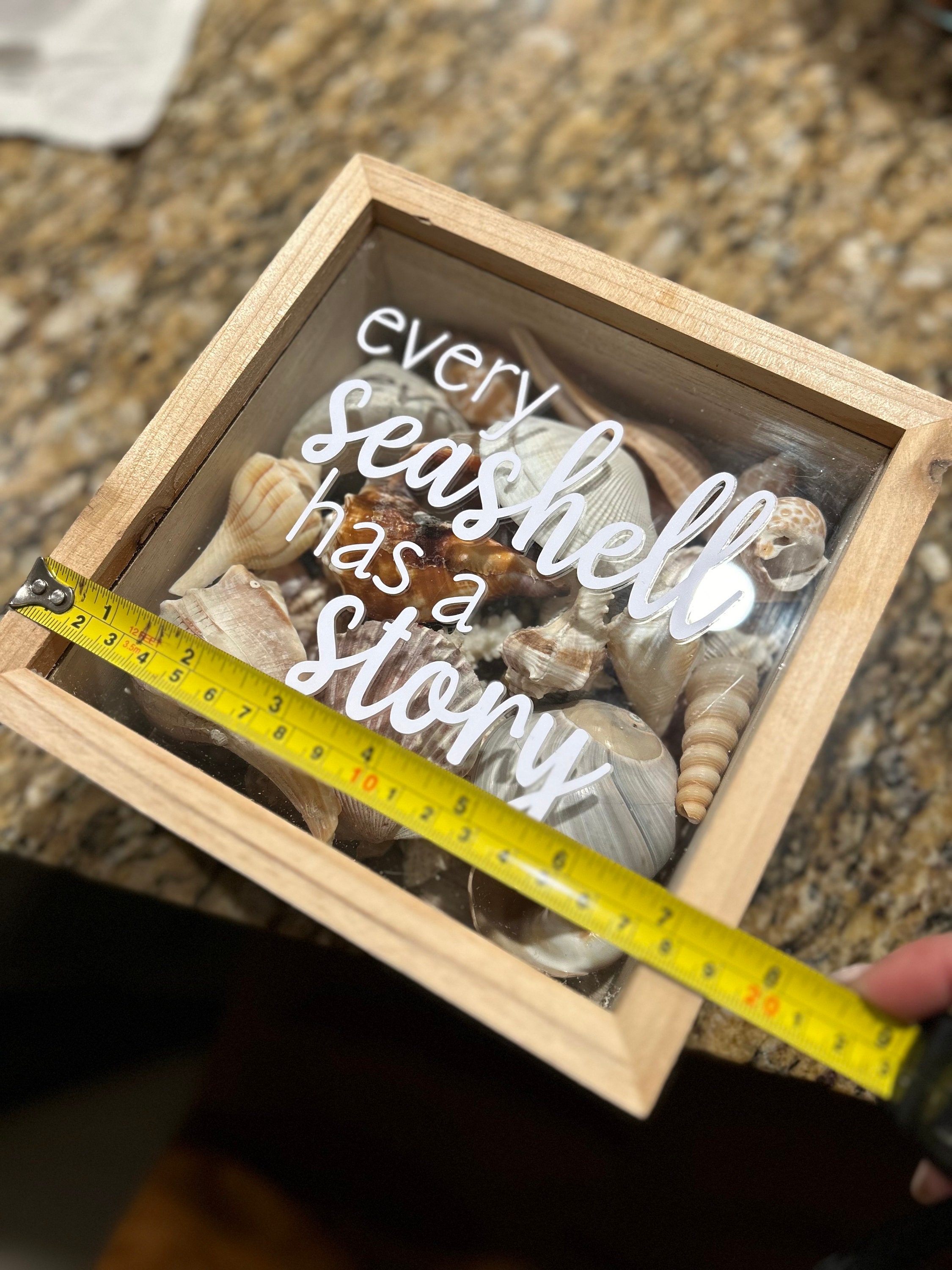 Shell Shadow Box - Etsy