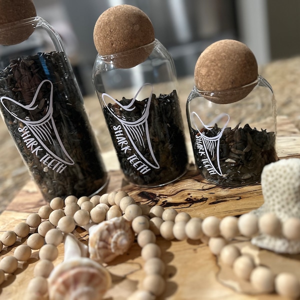 Shark Tooth Display - Etsy