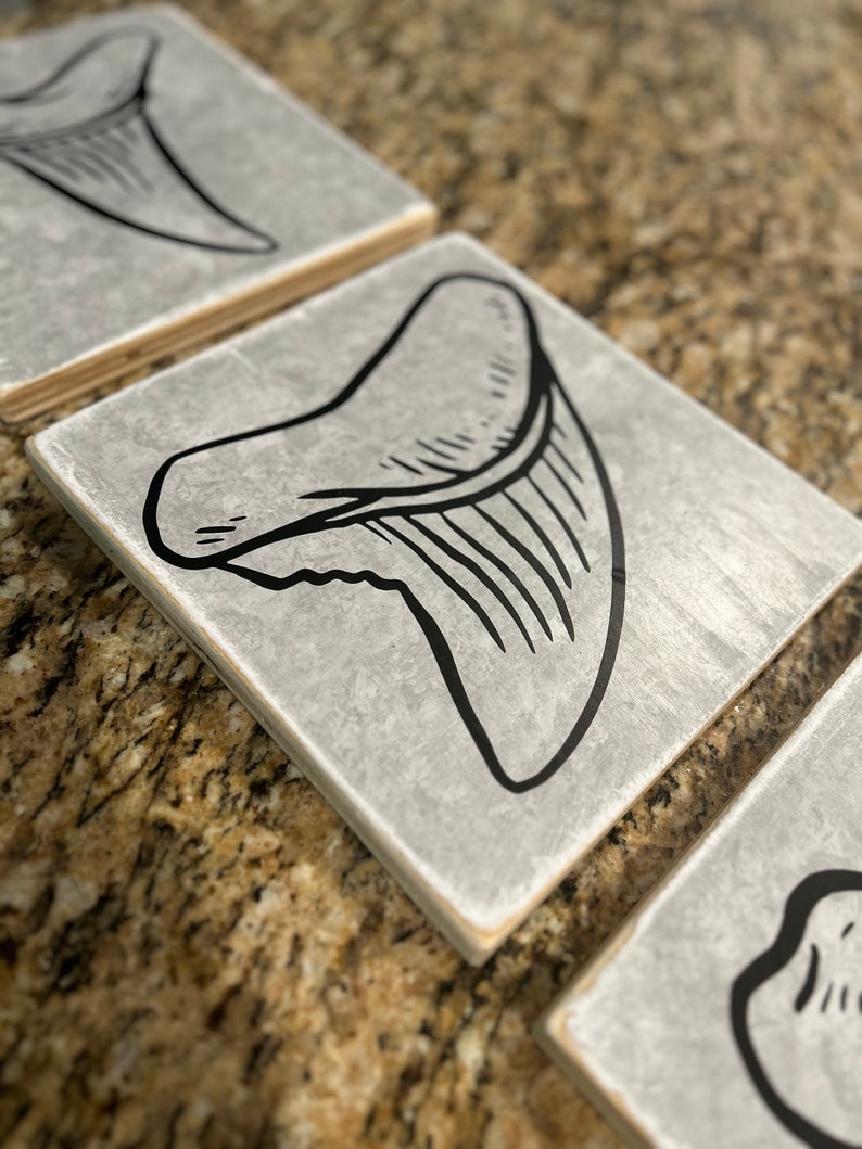 Shark Tooth Wall Hangings Set of 3 - Etsy