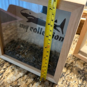 Shark Tooth Shadow Box - Etsy