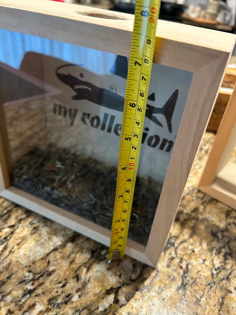 Shark Tooth Shadow Box - Etsy