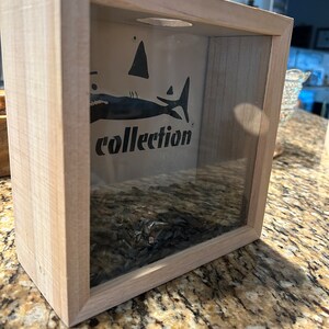 Shark Tooth Shadow Box - Etsy