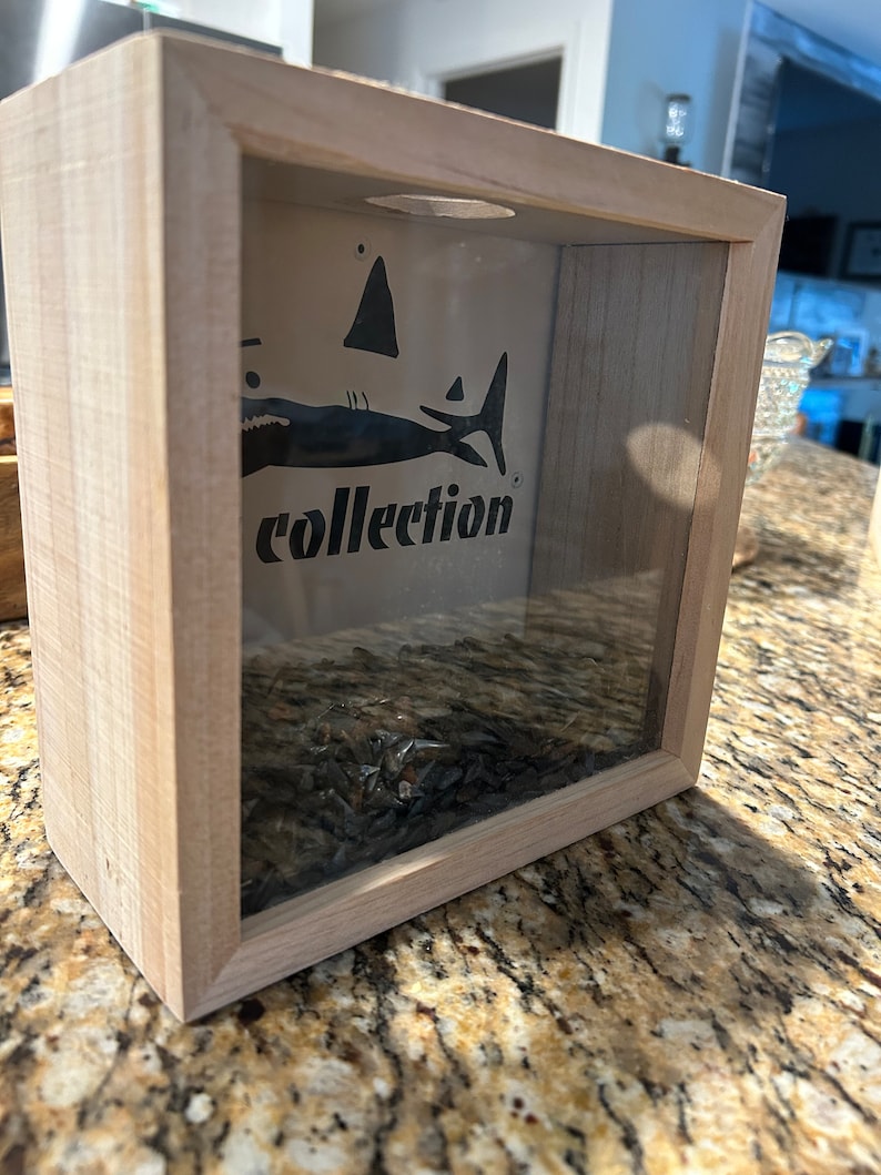 Shark Tooth Shadow Box - Etsy