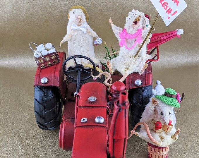 L23 Anthropomorphic Taxidermy Mouse Mice Tractor Farm Fresh - Etsy