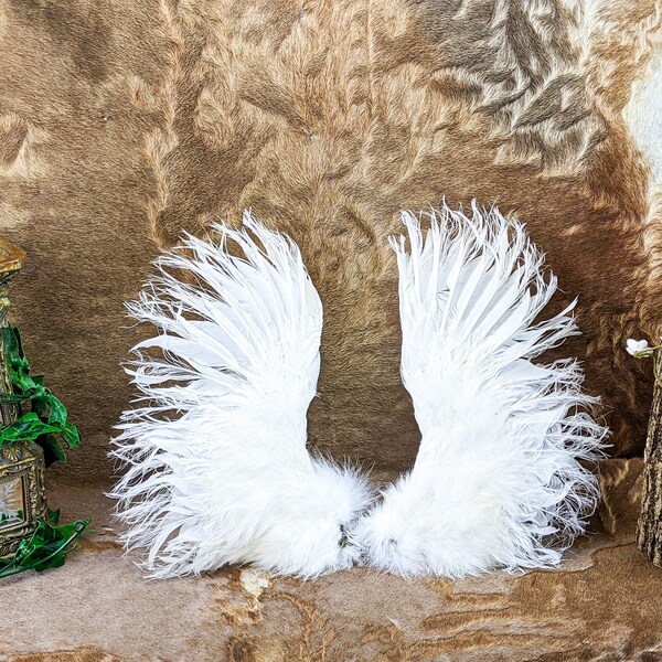 Chicken Wings - Etsy