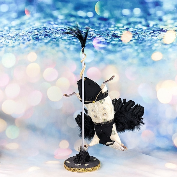 Taxidermy Rat - Etsy