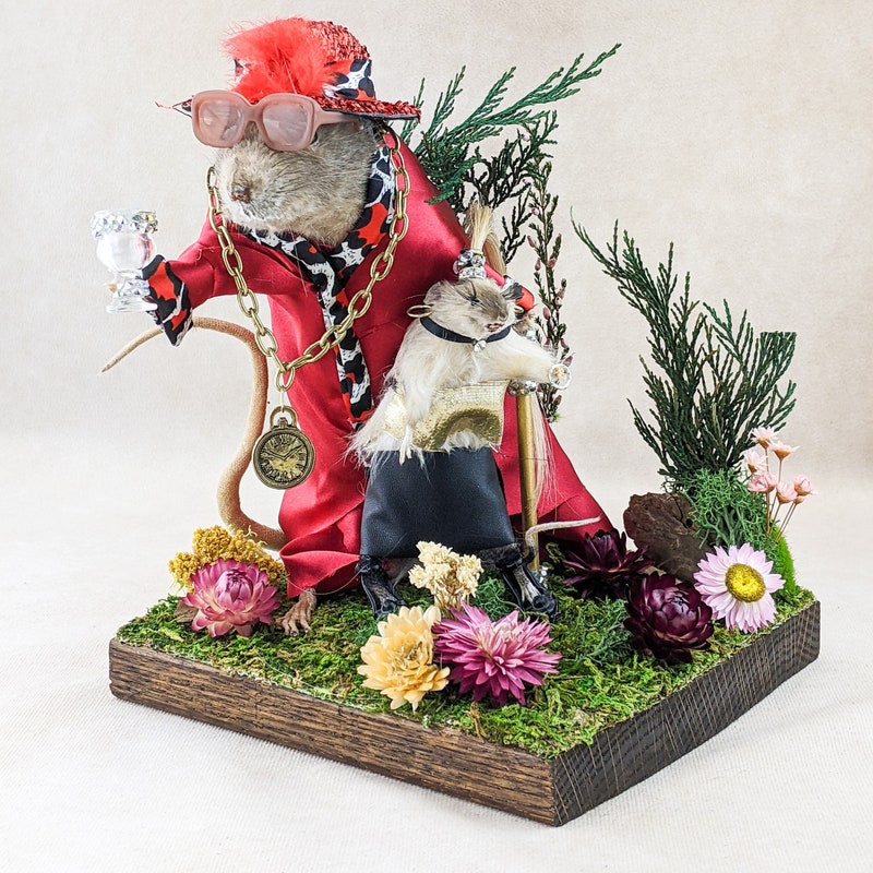 Taxidermy Rat - Etsy