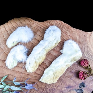 Rabbit Feet Craft Taxidermy 1 Set of 4 Real Matched Fur Bunny Oddities ...