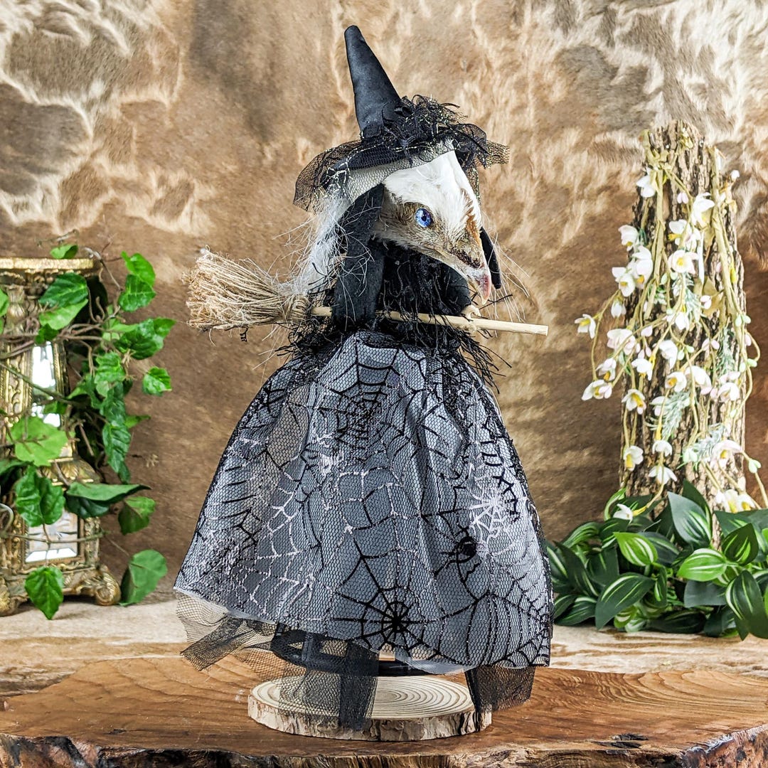 Chicken Witch Taxidermy Oddities Curiosities Halloween Display ...