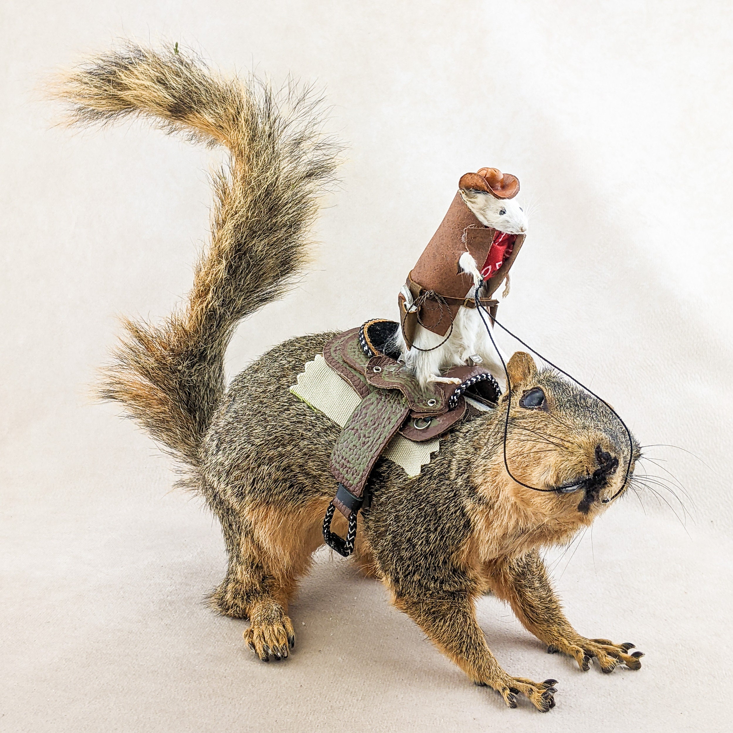 Funny Squirrel Pictures With Guns
