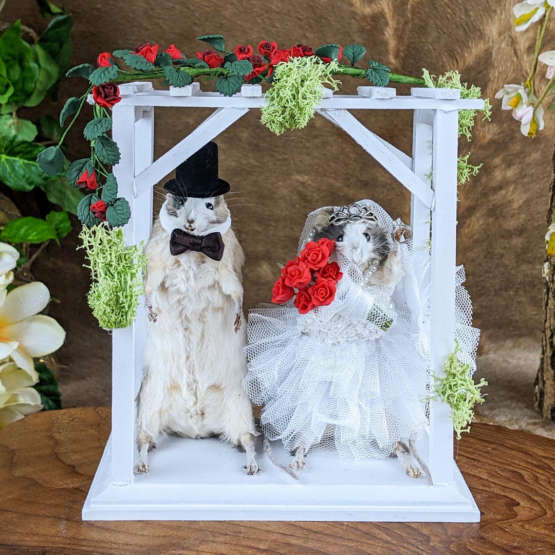 Bride and Groom Mice Mouse Taxidermy Anthropomorphic Collectible ...