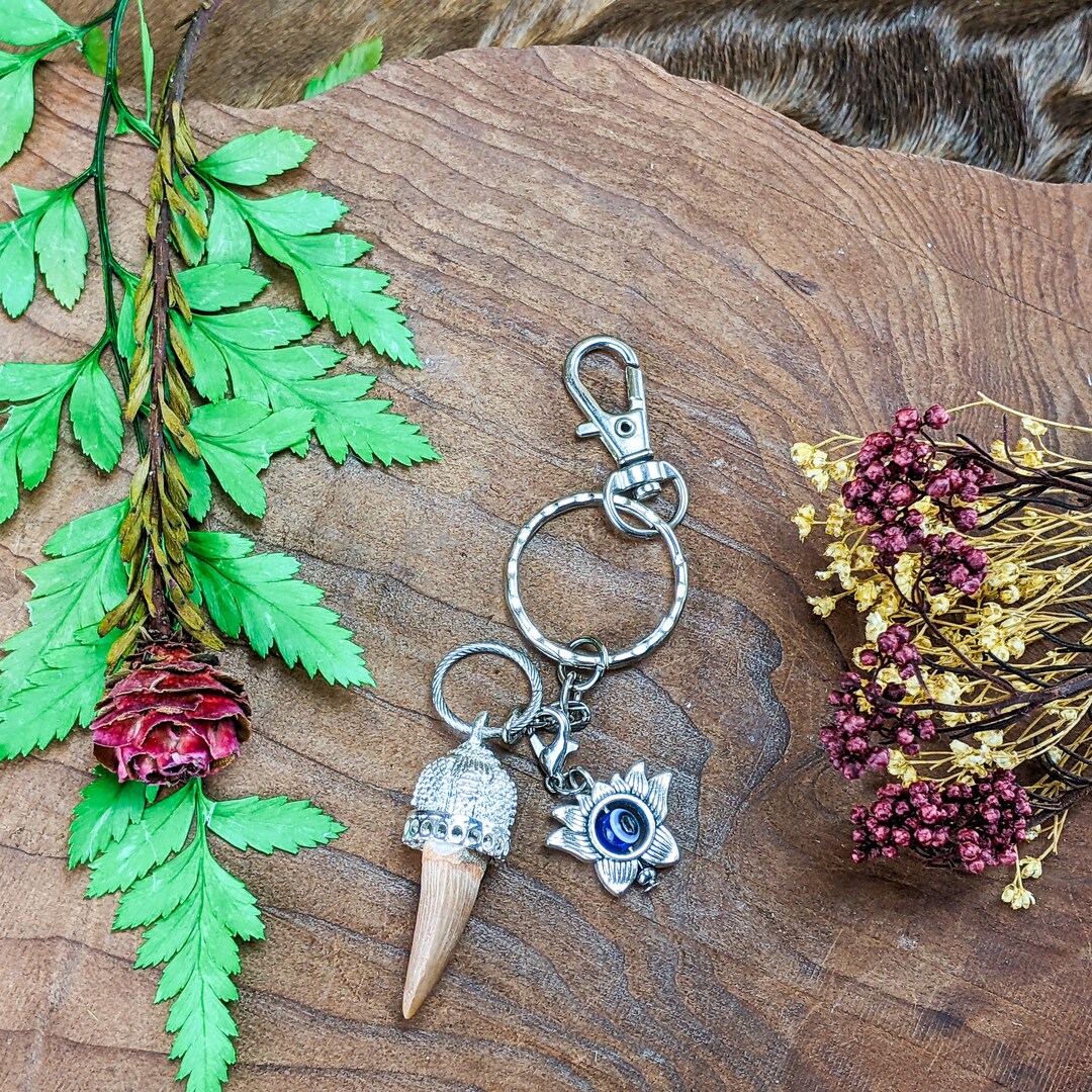 Dinosaur Tooth Real Mosasaur Reptile Fossil Dino Tooth Keychain Hook ...