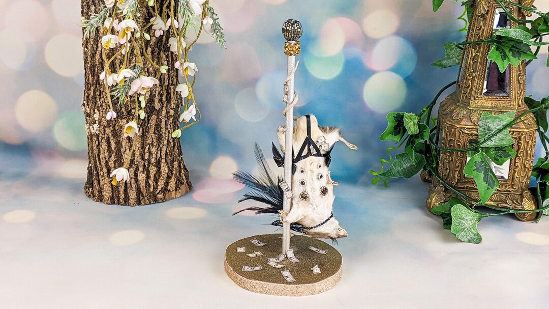 Stripper Mouse Pole Burlesque Showgirl Taxidermy Oddities Curiosities ...