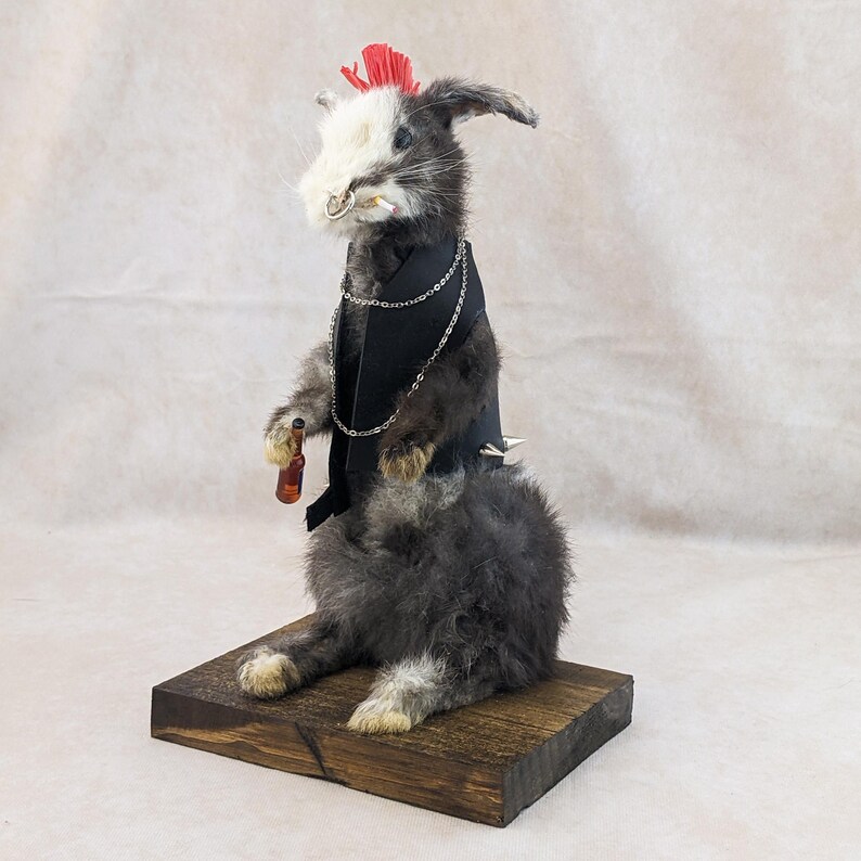 Punk Rabbit Taxidermy Standing Mount Display Oddities Curiosities Rude ...
